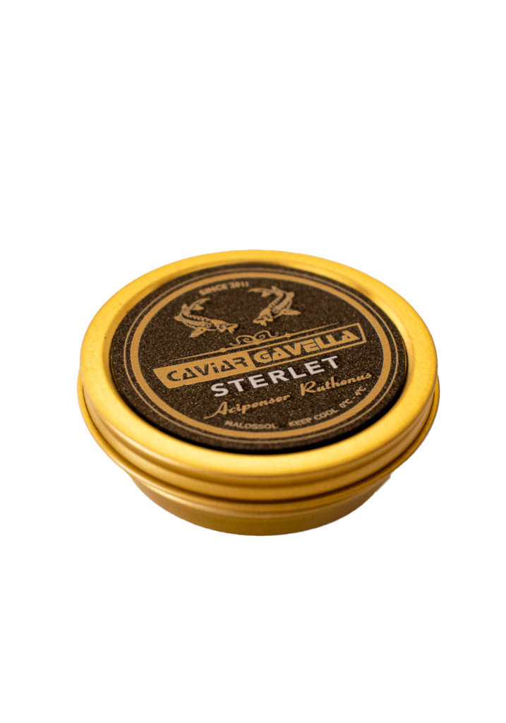 Caviar Cegă – Gavella Sturion