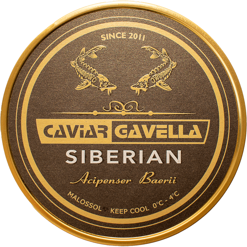 Magazin – Gavella Sturion